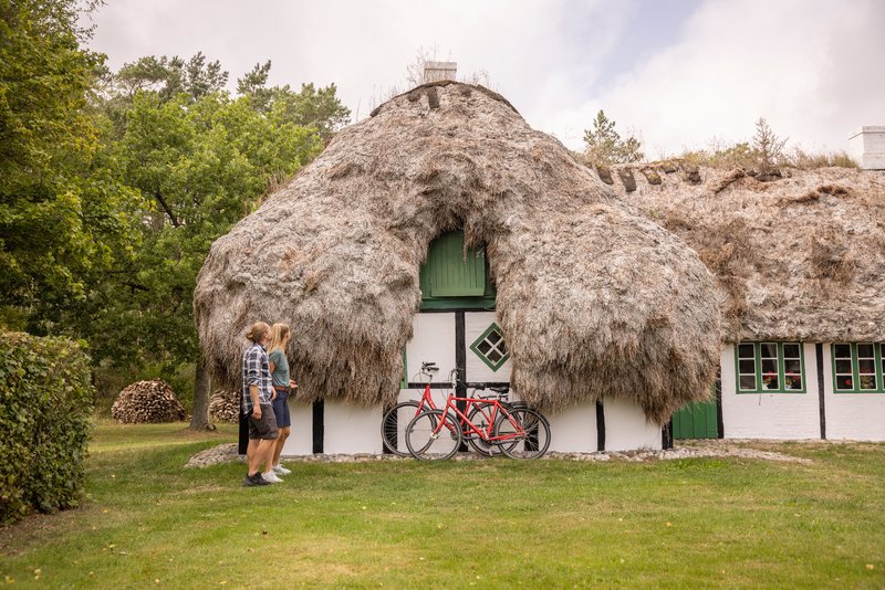 Læsø og UNESCO’s Verdensarvsliste: Tang, salt, og historie - Sol og Strand