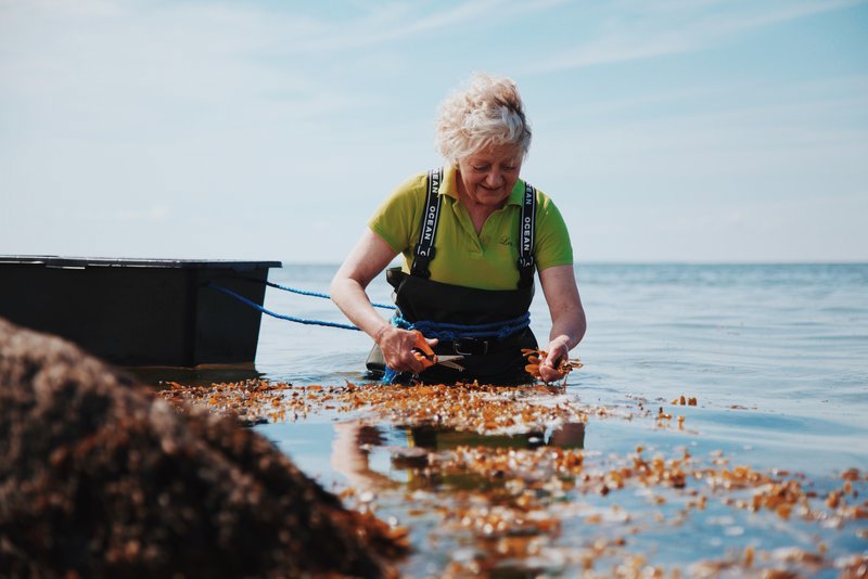 Læsøs tangtage: Historien om stærke kvinder & unik kulturarv - Sol og ...