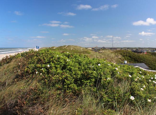 Sommerhus Søndervig - Mange sjove aktivitetsmuligheder - Sol og Strand